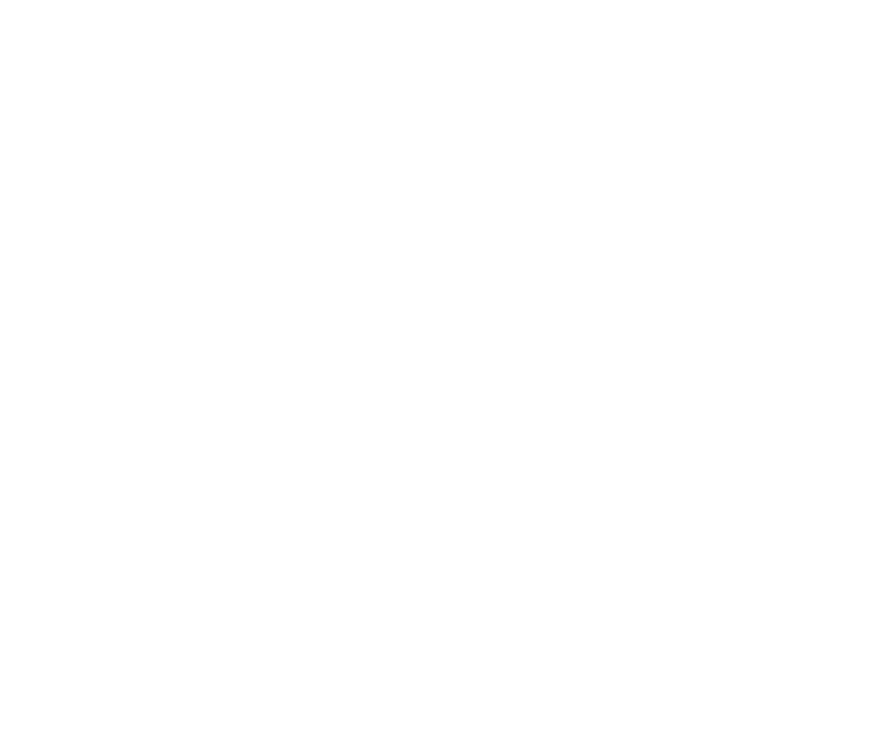 IconWhite – ANA Technology Partner